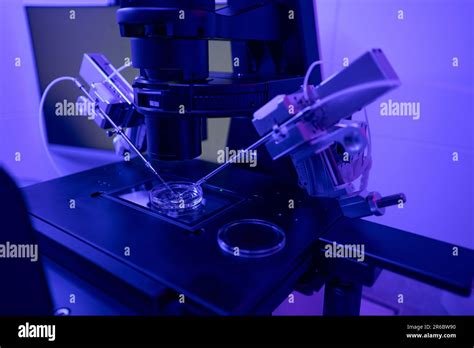 Manipulators Doing In Vitro Fertilization Of Female Cell With Male Sperm Stock Photo Alamy