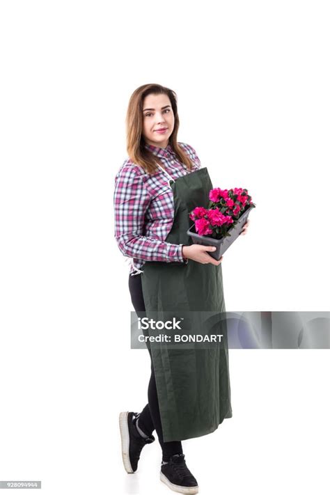 여자 전문 정원사 또는 흰색 배경에 고립 된 냄비에 꽃을 들고 앞치마에 꽃 미소의 초상화 가을에 대한 스톡 사진 및 기타 이미지 가을 계절 녹색 Istock