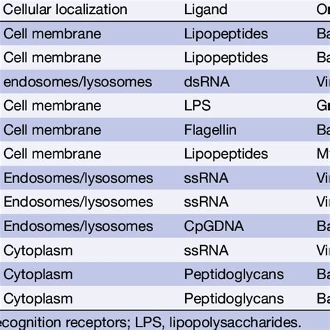 Overview Of Human Pattern Recognition Receptors Download Scientific