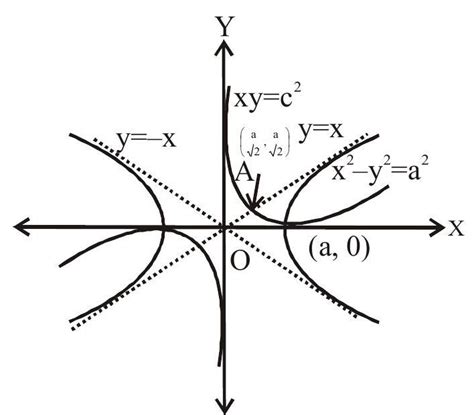 Sathee Hyperbola 7 Rectangular Hyperbola