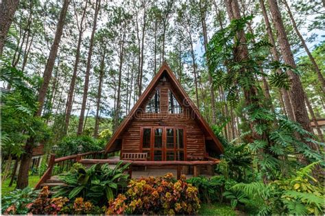Triangular House Built From Wood In The Forest Stock Image Image Of Outdoor Hill 300072017
