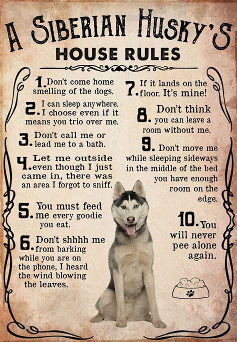 Skitonts Poster No Frame Wall Art Home Decor A Siberian Huskys House Rules For Lovers