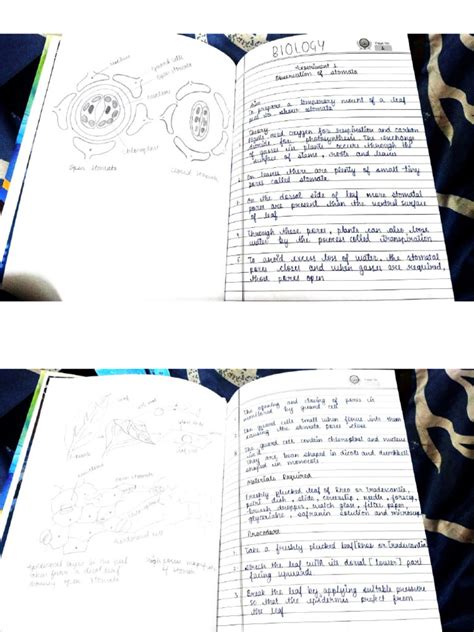 Bio Practical Class 10 Pdf