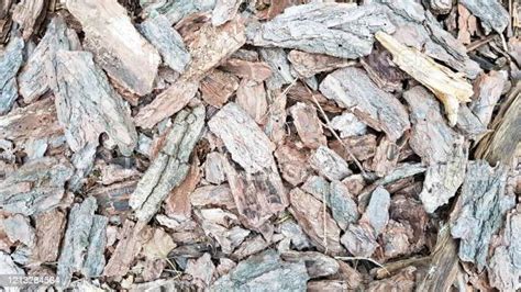 배경 텍스처 장식 나무 껍질입니다 오래된 컷 나무 껍질의 산이 닫힙습니다 나무 껍질 조각의 퇴비 뿌리 덮개 조각으로 덮여 지구 땅 가득 찬에 대한 스톡 사진 및 기타 이미지