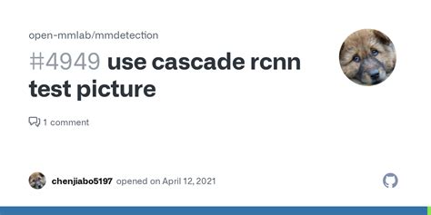 Use Cascade Rcnn Test Picture Issue Open Mmlab Mmdetection GitHub