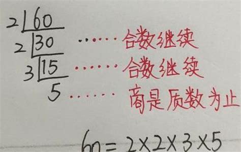 1 试除法判定质数 2 分解质因数 质数 kyk333 博客园