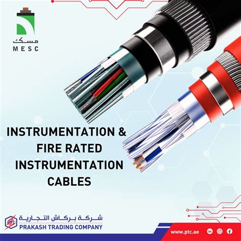 Nafeesa Shaikh Posted On Linkedin