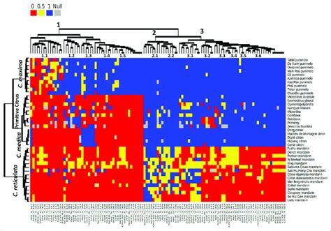 Heatmap Of 67 Genotyped Citrus Varieties Along With 115 Snp Markers