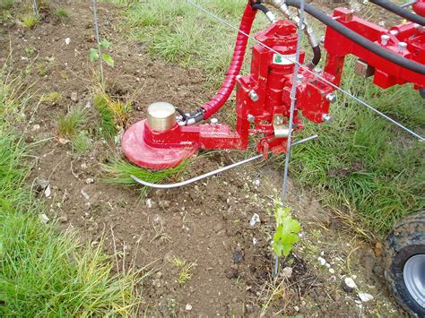 Under Vine Weed Control Vineyard Magazine