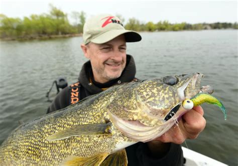 Secret Chatterbait Walleyes Shallow Snap Jigging Crooked Fish Caught