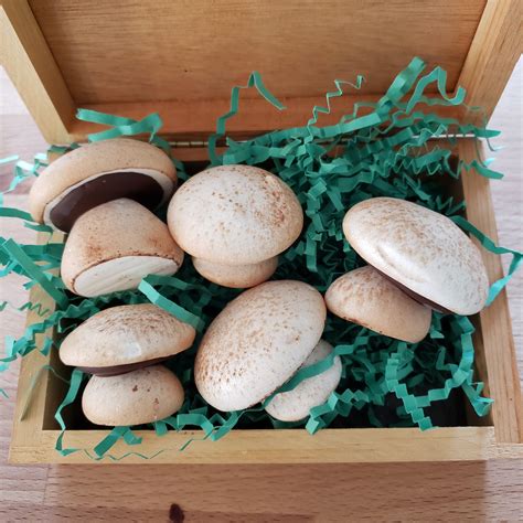 Spotlight On Mushrooms” Meringue Mushrooms Ccs Associates Inc
