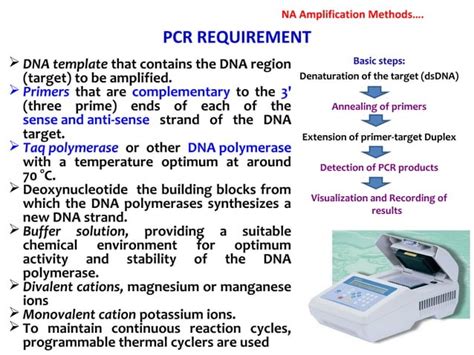 Rapid Pathogen Detection Methods Ppt Food Industry Industries