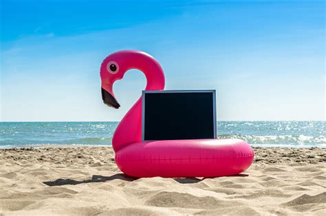 플라밍고 아이콘 화창한 열대 날에 여름 바다 자연 해변 배경에 텍스트 칠판과 재미 핑크 장난감 플라밍고 수영장 플로트 파티 0명에 대한 스톡 사진 및 기타 이미지 Istock