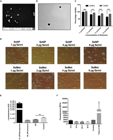 Specificity Of Biogenic Selenium Nanoparticles For Prostate Cancer Therapy With Reduced Risk Of