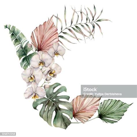 흰색 난초 몬스터와 야자수 잎 수채화 화환 흰색 배경에 고립 된 꽃과 가지가있는 손으로 그린 열대 카드 디자인 인쇄 배경에 대한 플로럴 일러스트레이션 난과 식물에 대한 스톡
