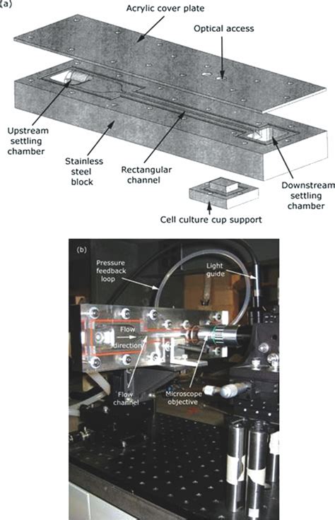 Flow Bioreactor Design For Quantitative Measurements Over Endothelial Cells Using Micro Particle