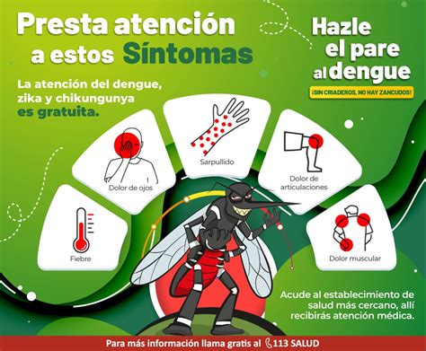 Dengue En Perú Recomendaciones Y Lo Que Debes Hacer Para Prevenir El Contagio Infobae