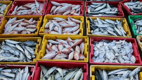 Zero Shot Classification Top 6 Models How To And Alternatives