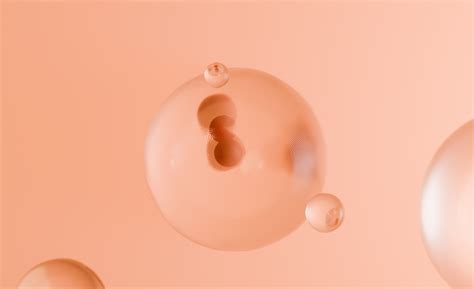 Lambda Biologics CRO Portal Log In