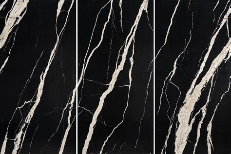 Fossil Black Weng Stone