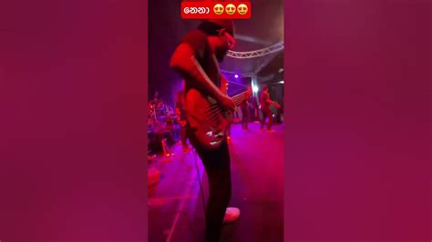 නෙනා 😍 Shorts Youtube