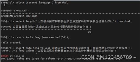 Ora 12899报错，遇到数据表某字段长度奇怪现象： Oracle字符型，长度50”但length查却没有50varchar50 Oracle 超出截断 Csdn博客