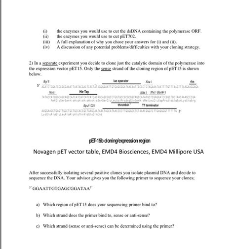 Solved Interpretation Questions 4 Cloning And Sequencing 1