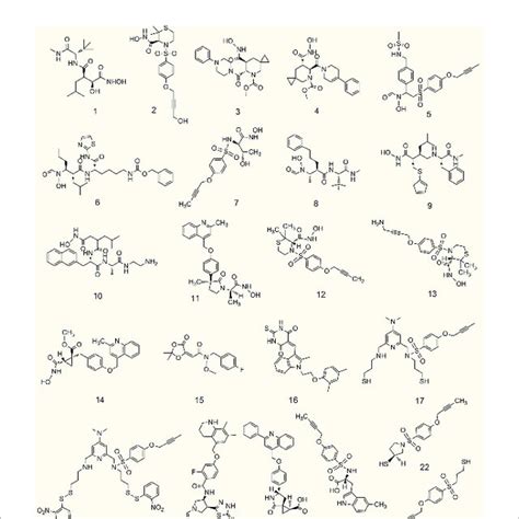 Summary Of The Inhibitory Activities Of Adam17 Inhibitors Download