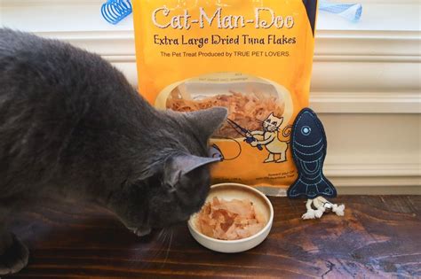 The 7 Best Cat Treats For Kittens