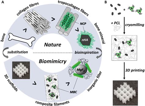 Bioinspired Interface Engineering Methodology In Nanocomposite Download Scientific Diagram