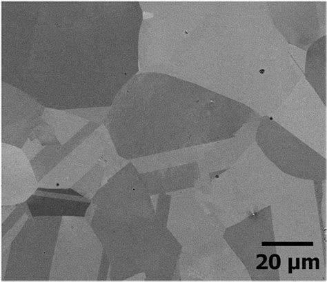 Sem Bse Image Showing The Equiaxed Grain Structure With Grain Size ~34 Download Scientific