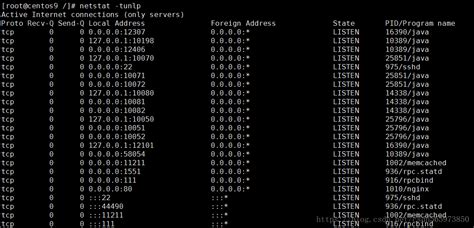 Linux 查看端口占用 腾讯云开发者社区 腾讯云