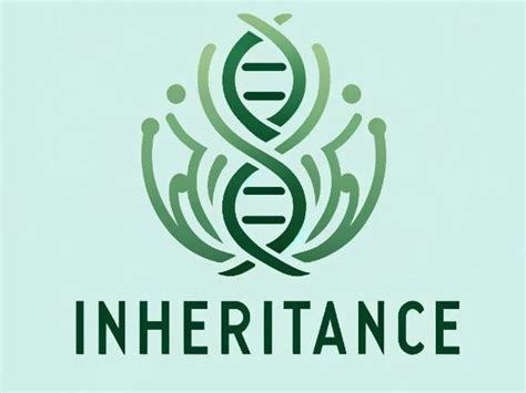 B6 Inheritance Revision Mat Ks4 Teaching Resources