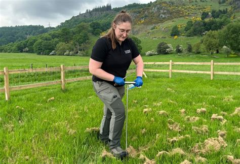 Achieving The Sustainable Development Goals Through Enhanced Rock Weathering Undo Carbon