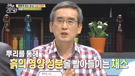 우리가 채소를 꼭 먹어야하는 결정적인 이유는 네이버 Tv