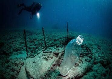 New Study Up To Million Tons Of Plastic Waste May Be Piling Up At The Bottom Of The Sea