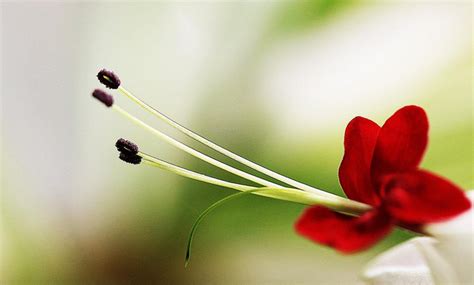 C Tutorial Opencv 2020