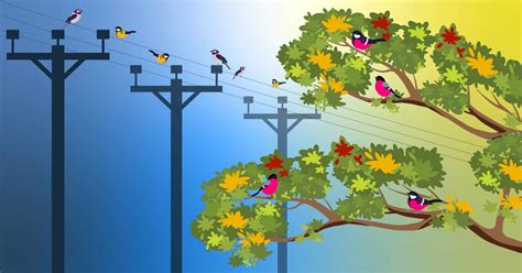 Line Or Branch Coverage Which Type Of Coverage Is Right For You Codecov