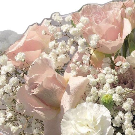 Coquette Flowers