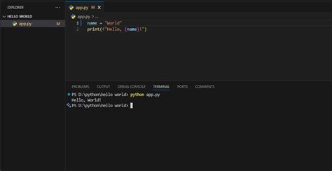 Python Learningjourney Codingday1 Programming Ali Hassan