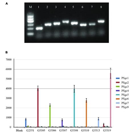 Primers And Probes Used In The Multiplex Luminex Based Assay Download Table