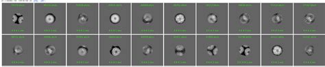high particle density 2d classification 2d classification cryosparc