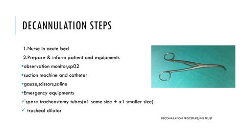 Ppt Tracheostomy Decannulation Powerpoint Presentation Free Download Id13508203