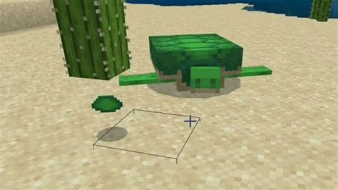 Turtle Shells In Minecraft Everything You Need To Know