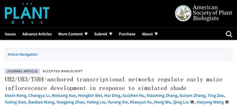 王海洋团队揭示一个以ub2 Ub3 Tsh4为核心的玉米花序转录调控网络 亚热带农业生物资源保护与利用国家重点实验室