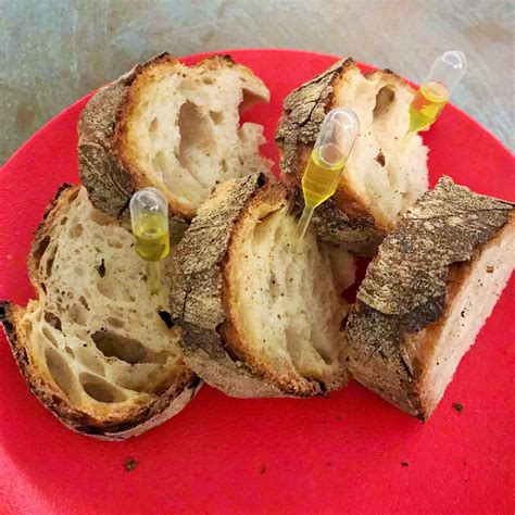 Bread Barcelona Connect