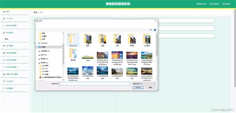 【开题报告】ssm宠物医院管理系统921o9计算机毕业设计程序宠物医院管理系统的主要任务和研究内容怎么写 Csdn博客
