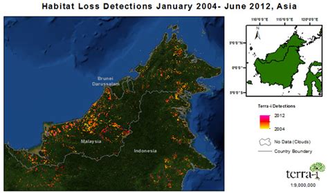 Near Real Time Deforestation Monitoring System To Go Global
