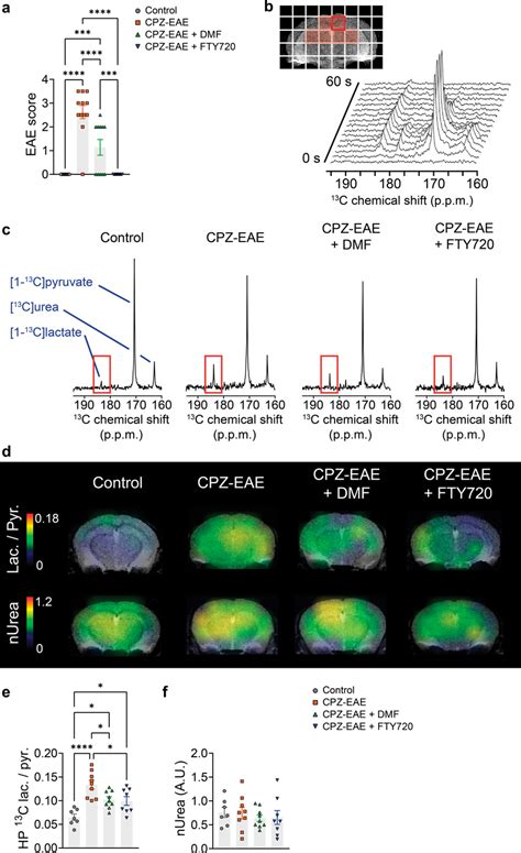 Hyperpolarized ¹³c Lactate Pyruvate Decreases Following Response To Dmf Download Scientific