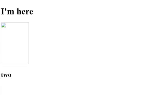 Angular Images Are Not Displayed In Angular Stack Overflow